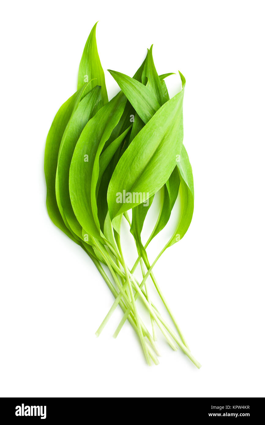 Fresh ramsons leaves Stock Photo - Alamy