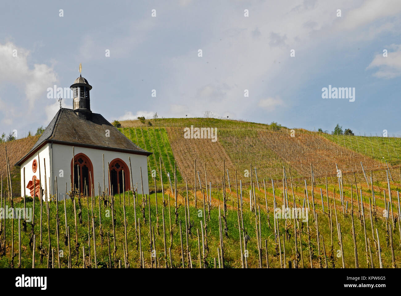 chapel in the vineyard Stock Photo - Alamy