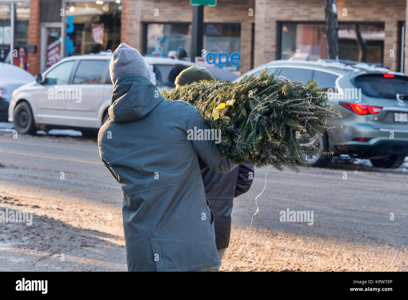 Man carrying a tree hi-res stock photography and images - Alamy