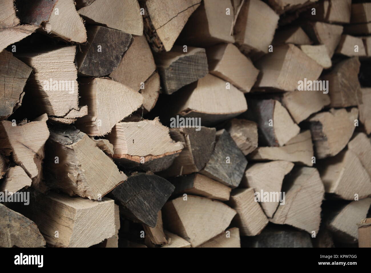 pile with firewood in the forest Stock Photo - Alamy