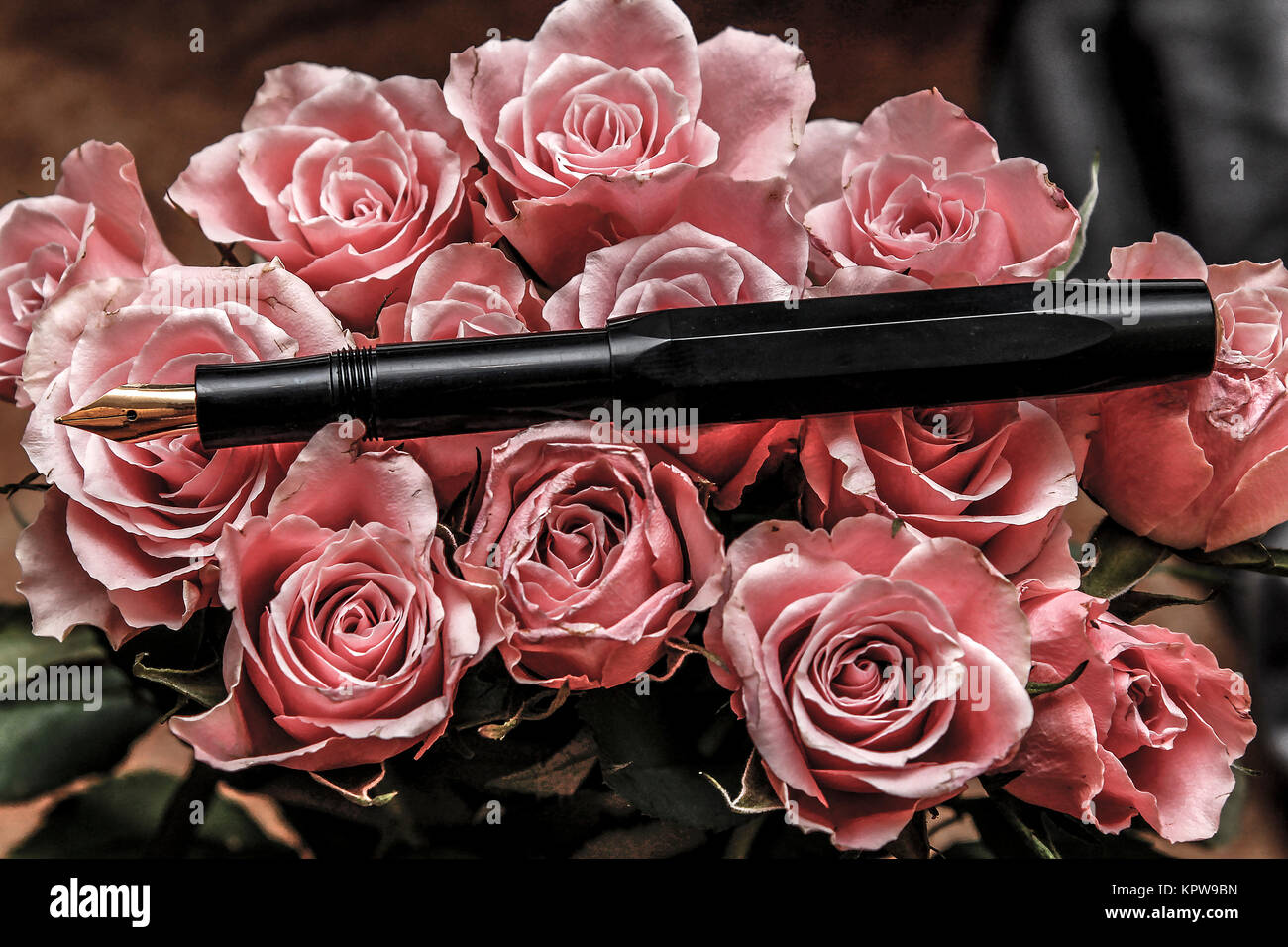 Fountain pen and roses Stock Photo - Alamy