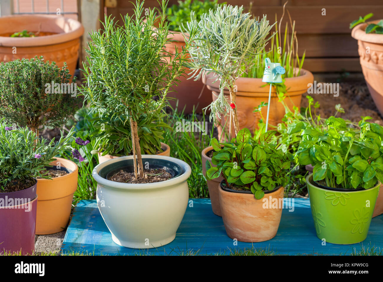 Lawn potted scenery hi-res stock photography and images - Alamy