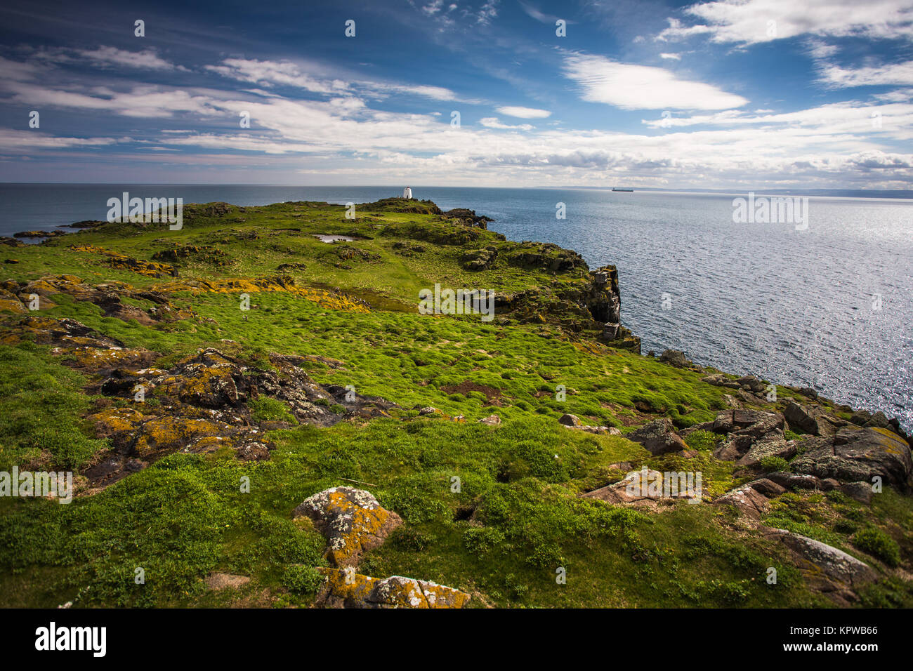 Isle of May, Scotland Stock Photo - Alamy