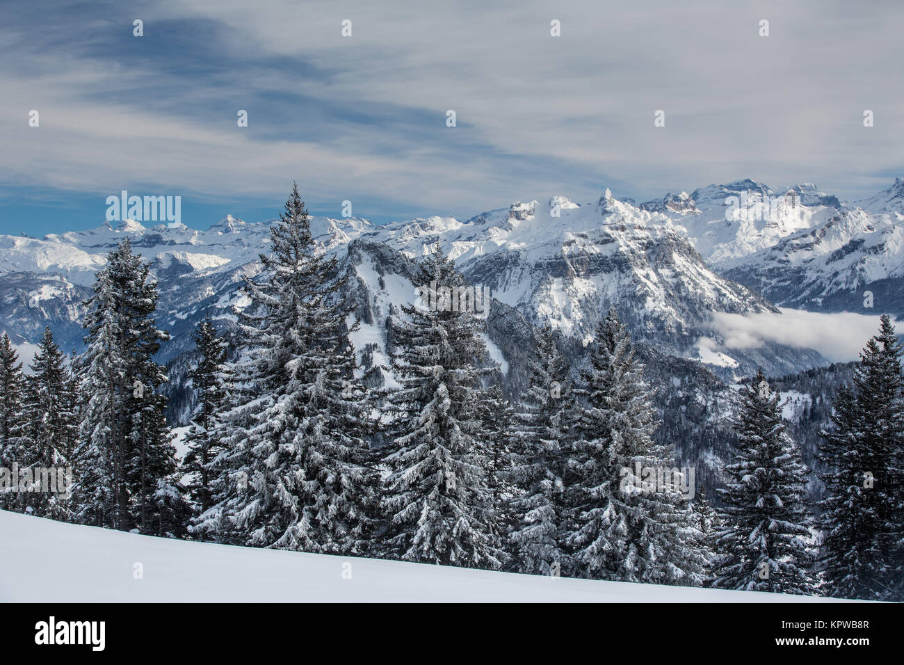 Alpine mountains view landscape trees hi-res stock photography and ...