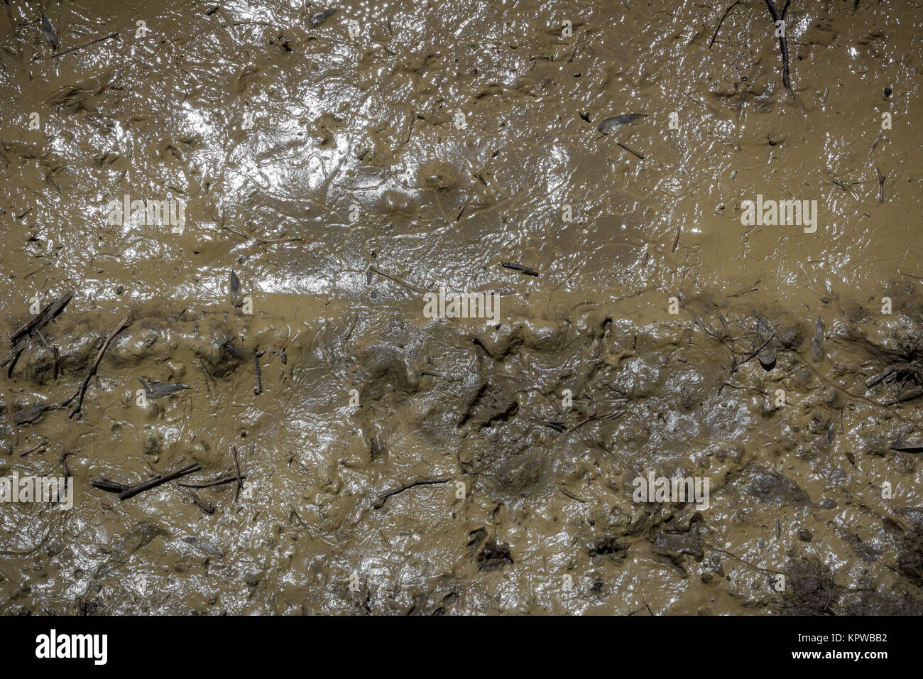Muddy boot print hi-res stock photography and images - Alamy