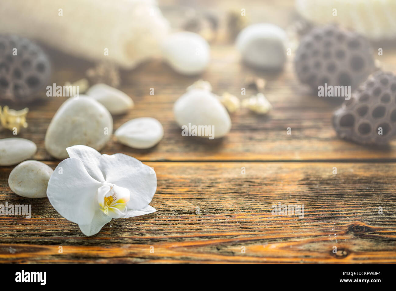Stones and orchid Stock Photo - Alamy