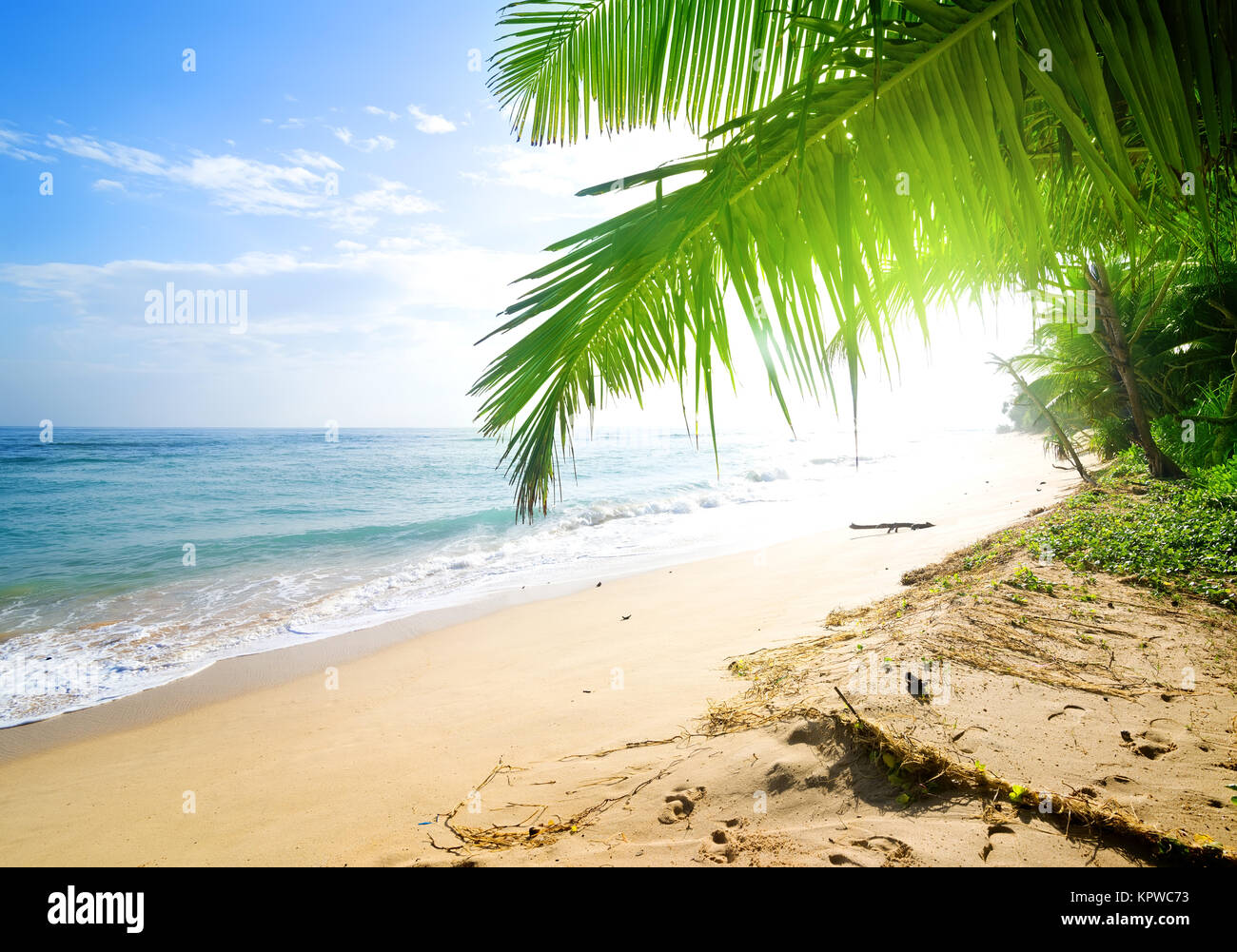 Morning sun over ocean Stock Photo - Alamy