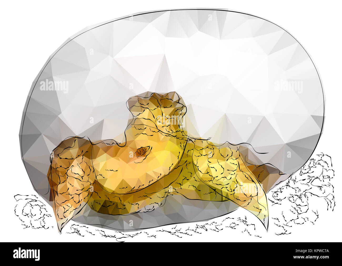 tortoise in egg Stock Photo - Alamy