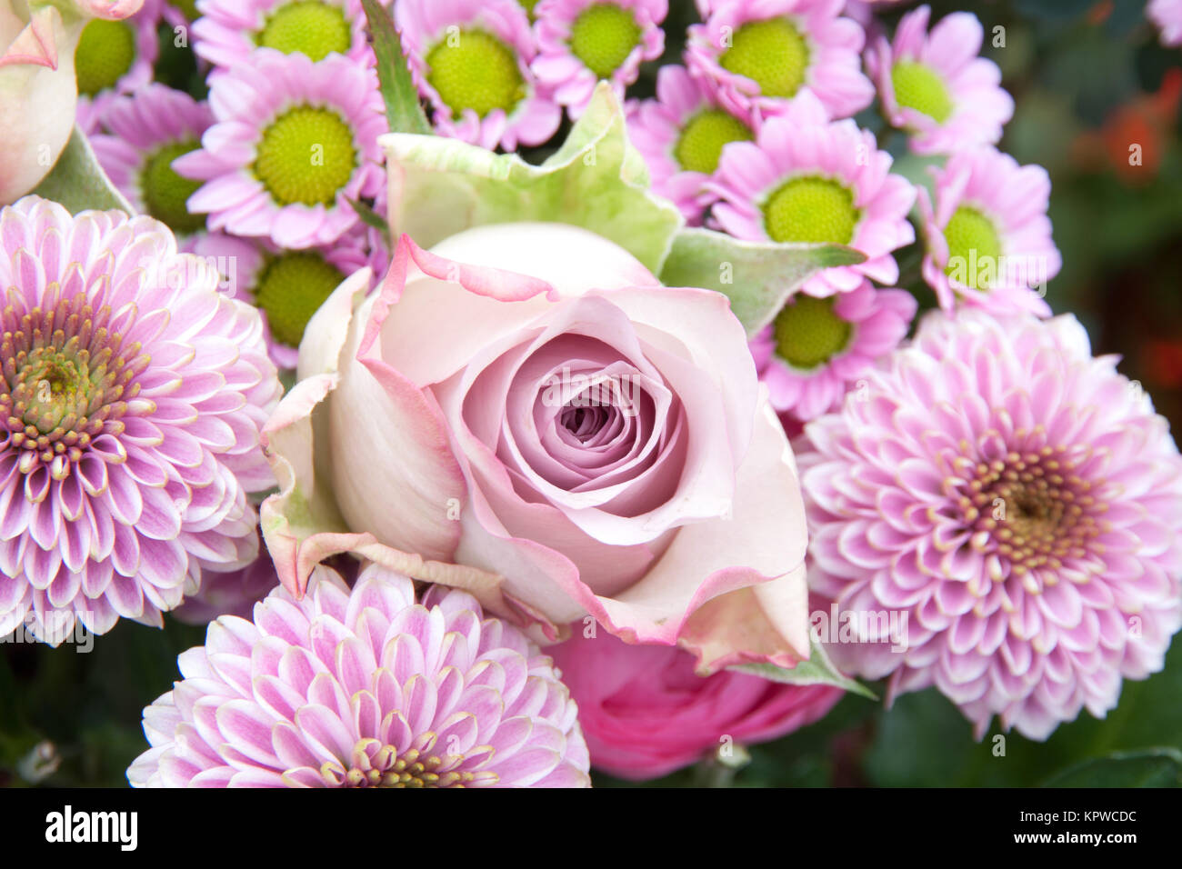 Bouquet Of Flowers For Ceremonies Stock Photo Alamy bouquet-of-flowers-for-ceremonies-stock-photo-alamy
