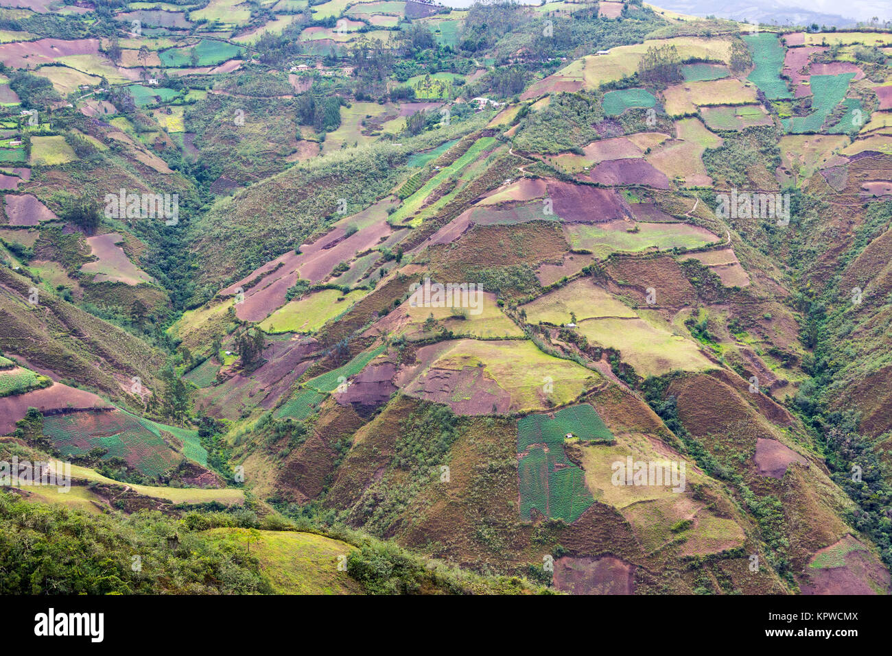 Farmland Landscape in Peru Stock Photo - Alamy