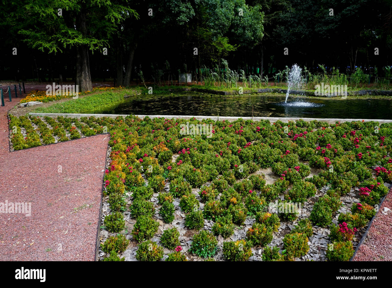 Jardín Botánico del Bosque de Chapultepec (Chapultepec Botanic Gardens ...