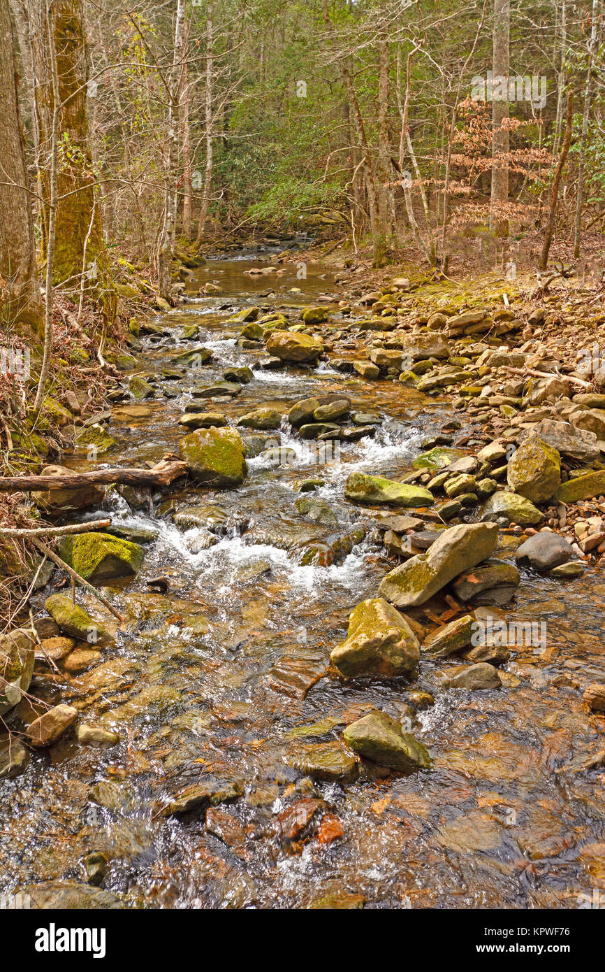 Quiet Stream in the Mountains Stock Photo - Alamy