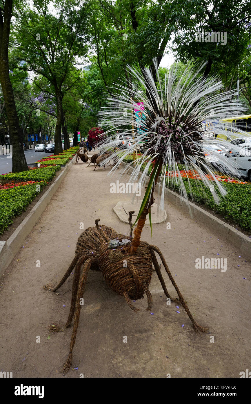 Straw insects hi-res stock photography and images - Alamy