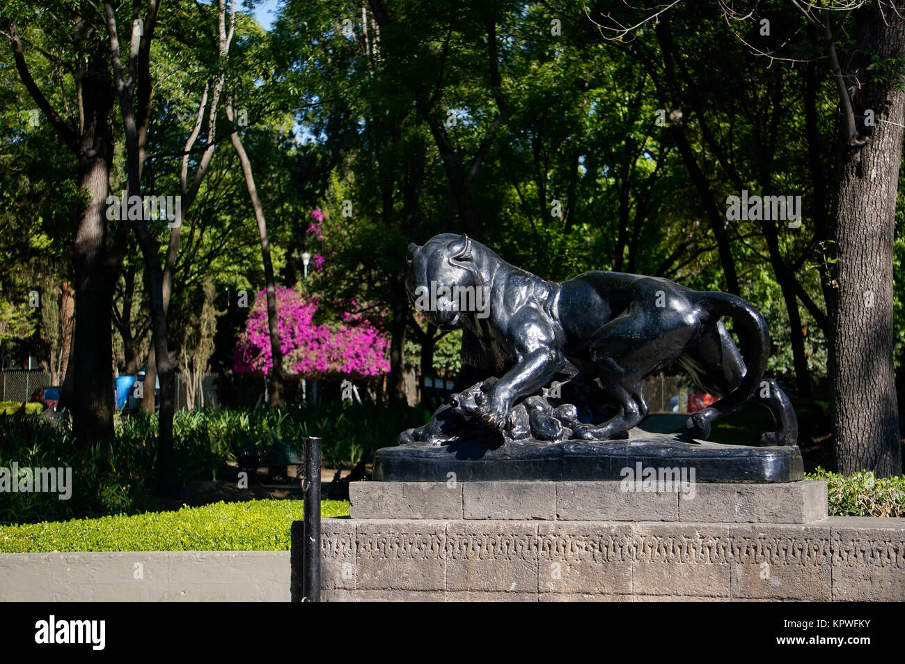 Parque chapultepec hi-res stock photography and images - Alamy
