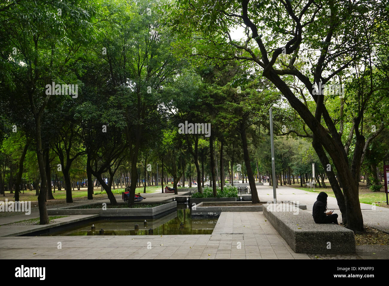 Chapultepec Park, Mexico City, DF, Mexico Stock Photo - Alamy