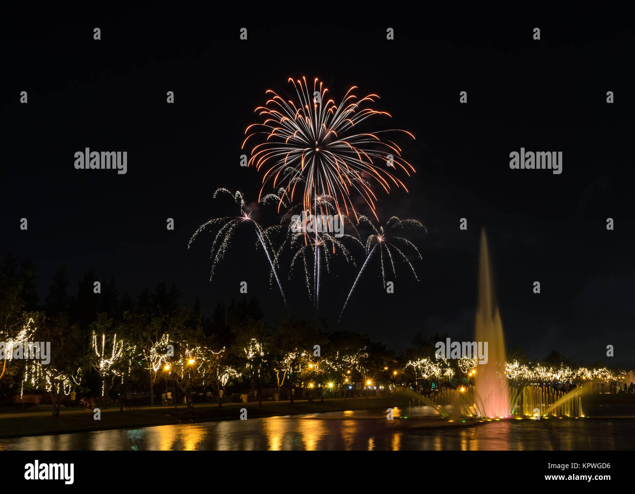 Fireworks in the city park Stock Photo - Alamy