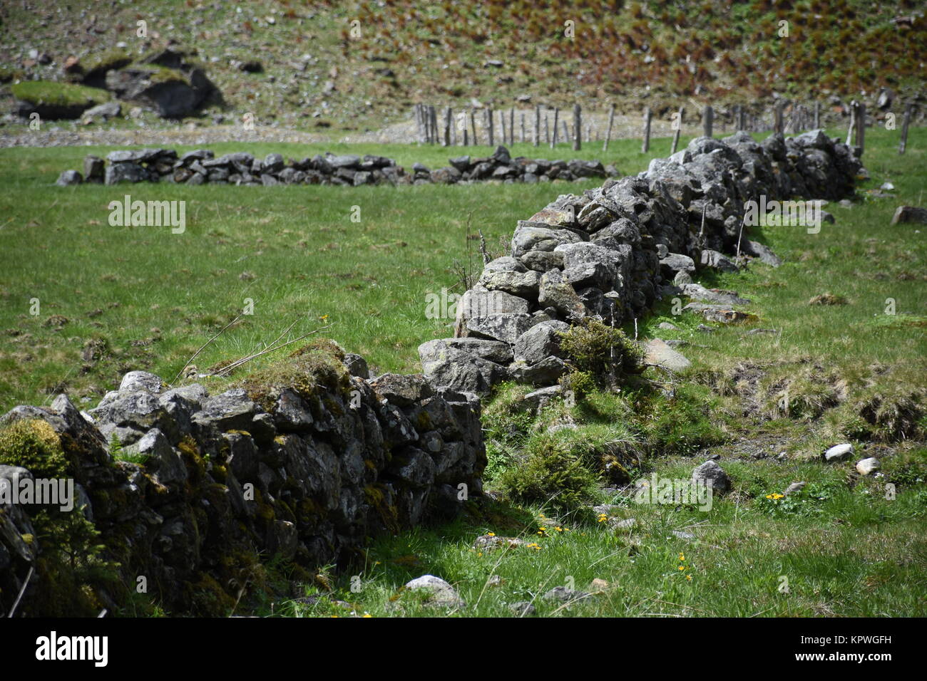 fence,pasture,fence,stone fence,picket fence,wooden fence,wire fence ...