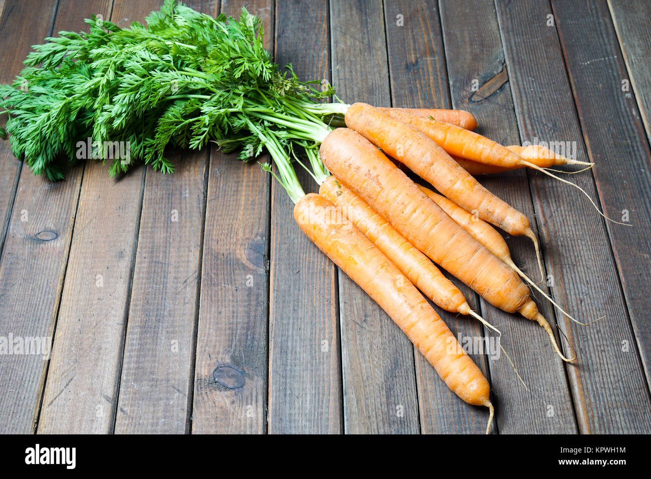 carrots with fresh green top Stock Photo - Alamy