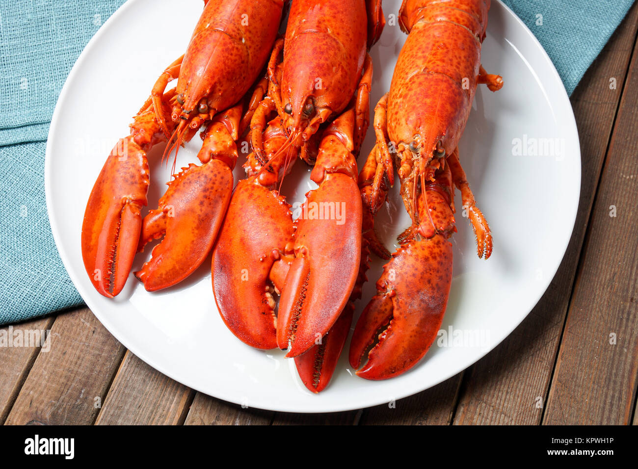 American clawed lobsters hi-res stock photography and images - Alamy