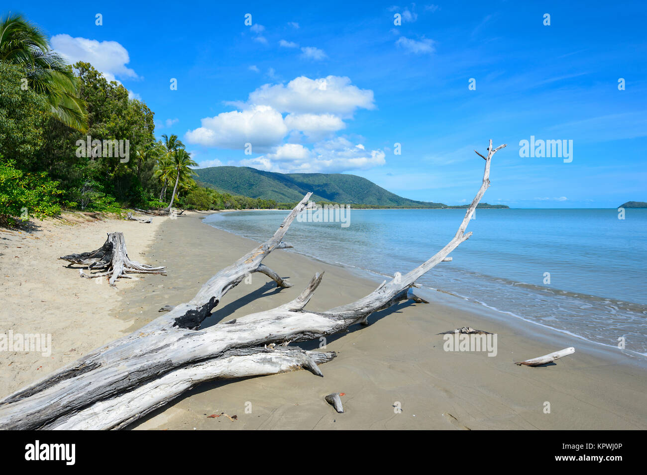 View of scenic Kewarra Beach, a popular Northern Beaches suburb of ...