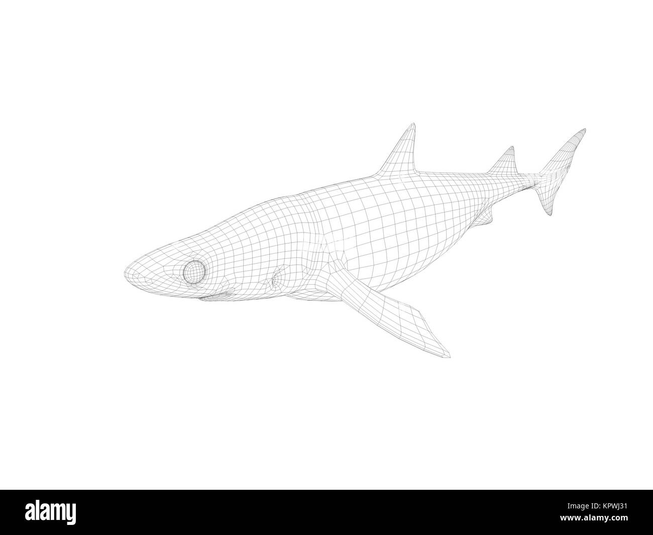 3d wireframe shark Stock Photo - Alamy