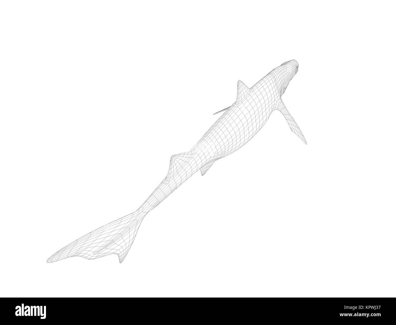 3d wireframe shark Stock Photo - Alamy