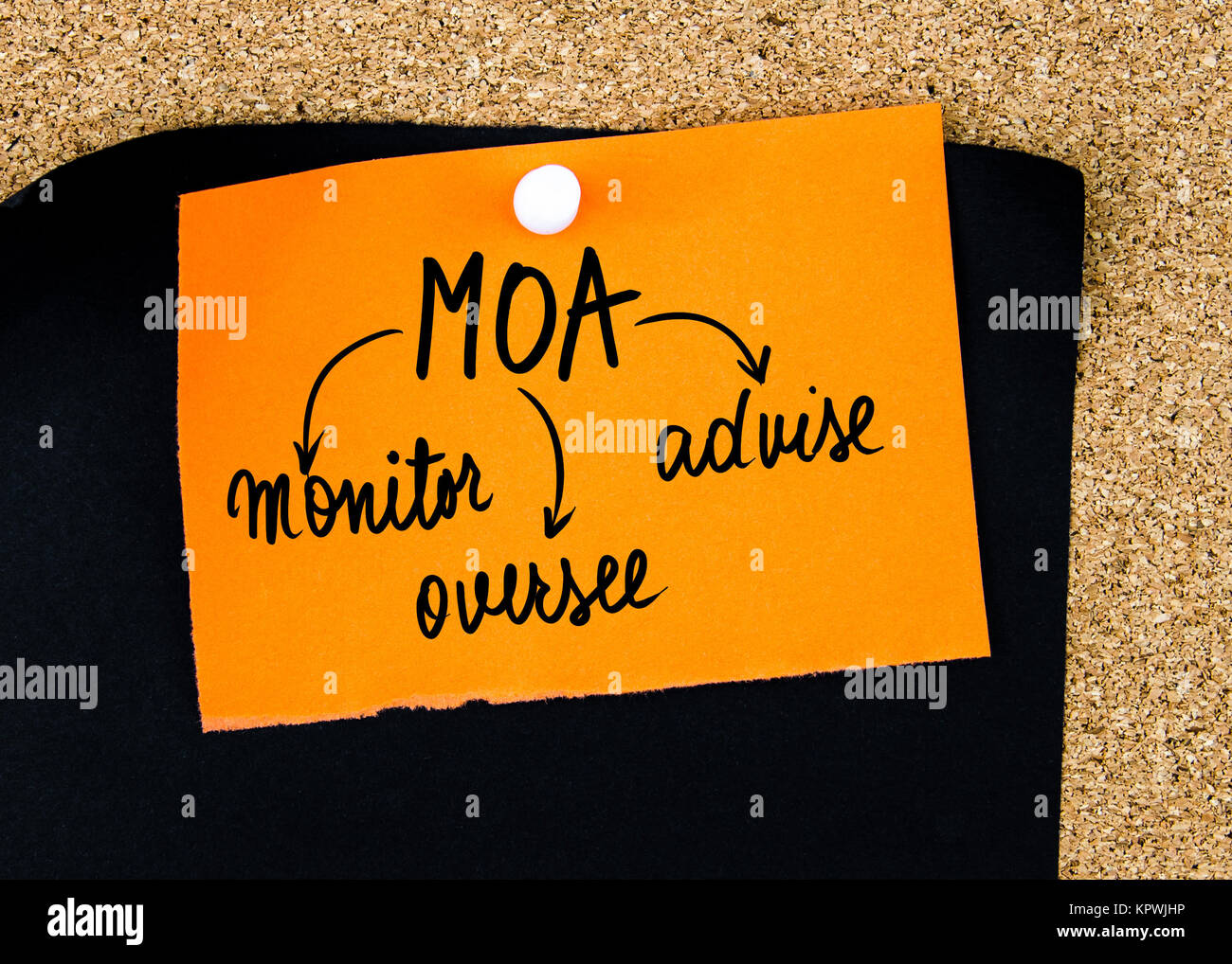 Moa project hi-res stock photography and images - Alamy