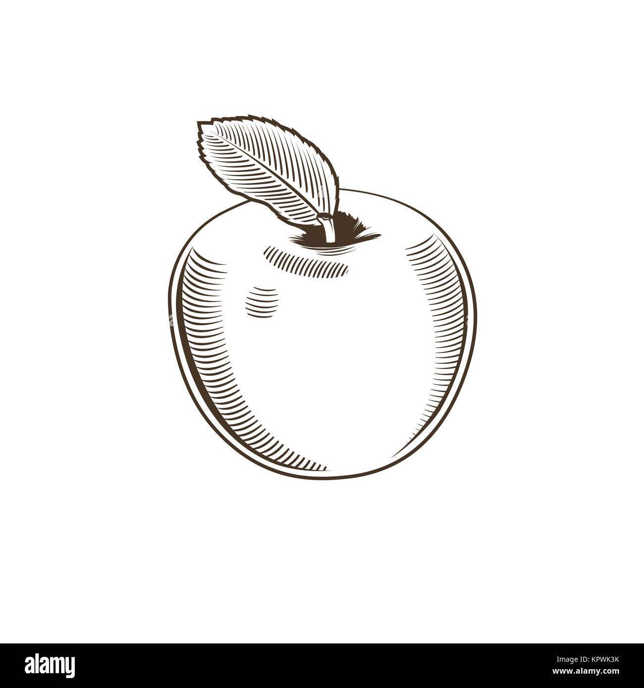 Apple in vintage style. Line art vector illustration Stock Photo - Alamy