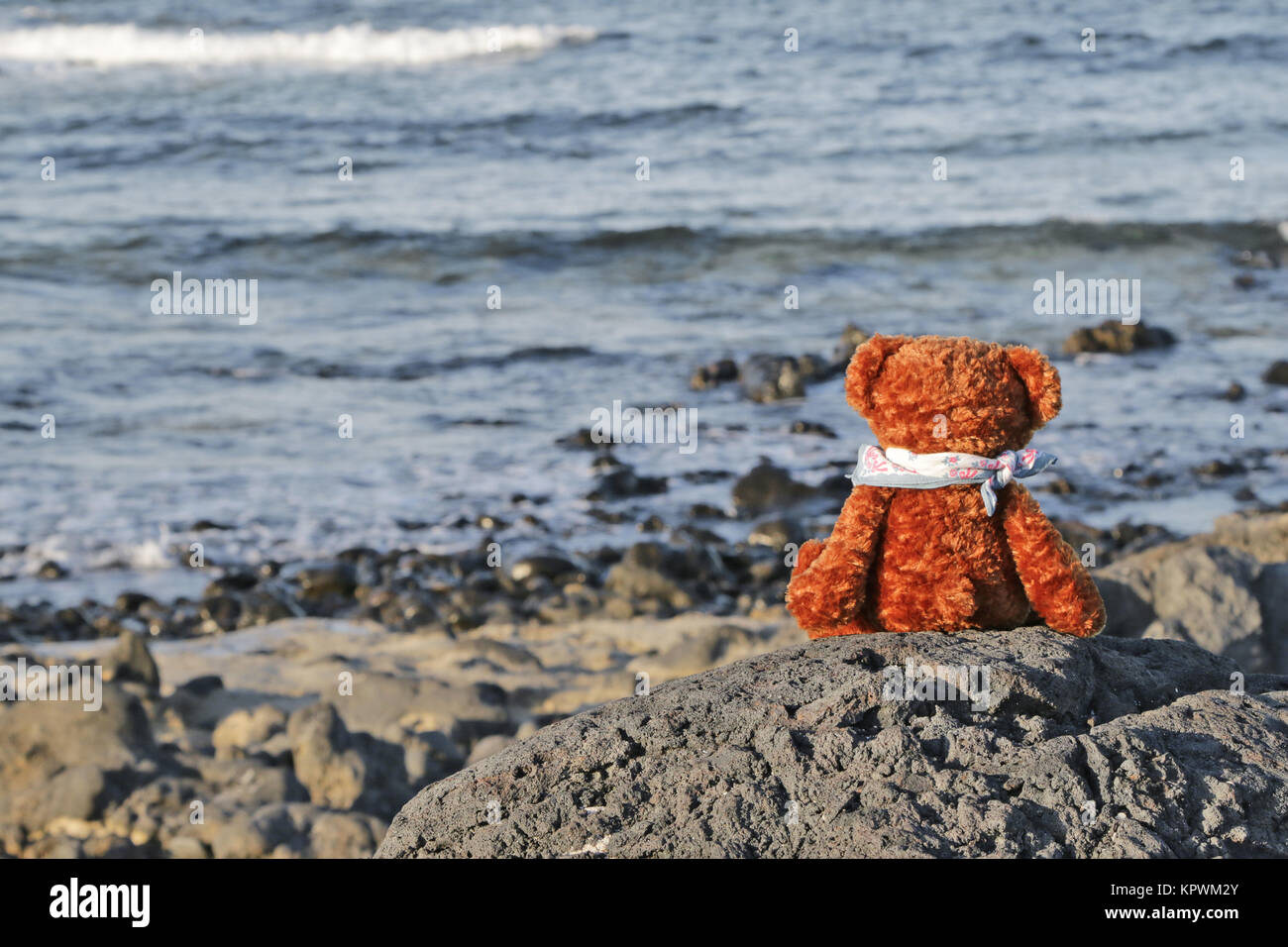 Teddy Per on the stone beach Stock Photo - Alamy
