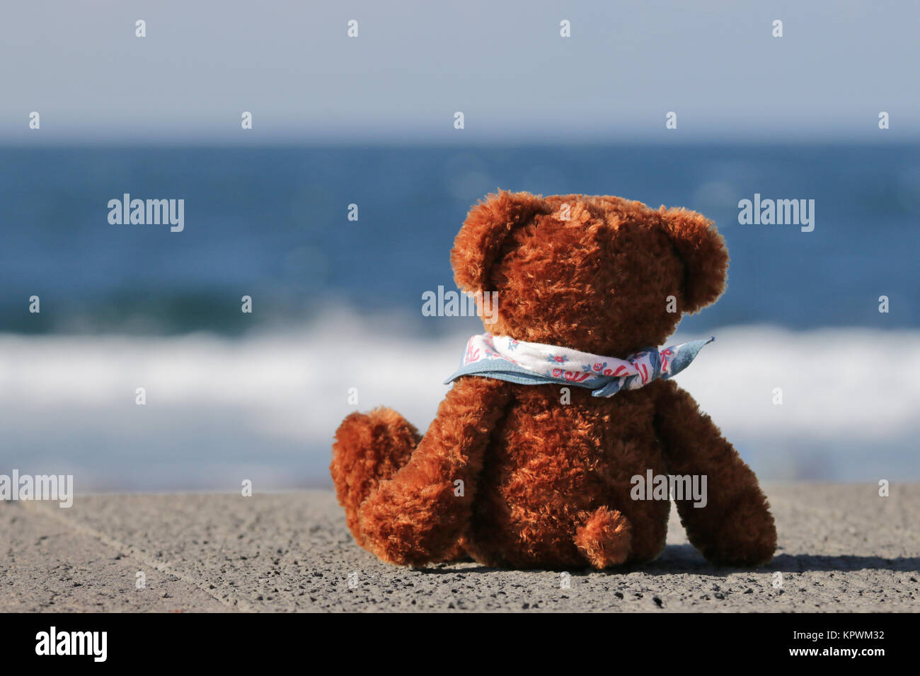 teddy per looks at the sea Stock Photo - Alamy