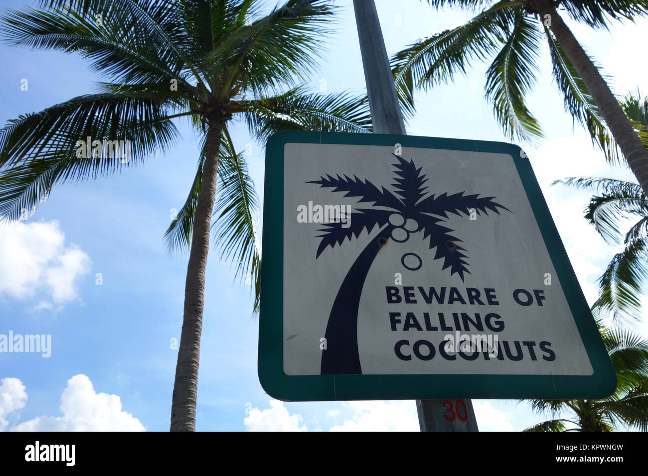 Sign of coconut fall in a park Stock Photo - Alamy