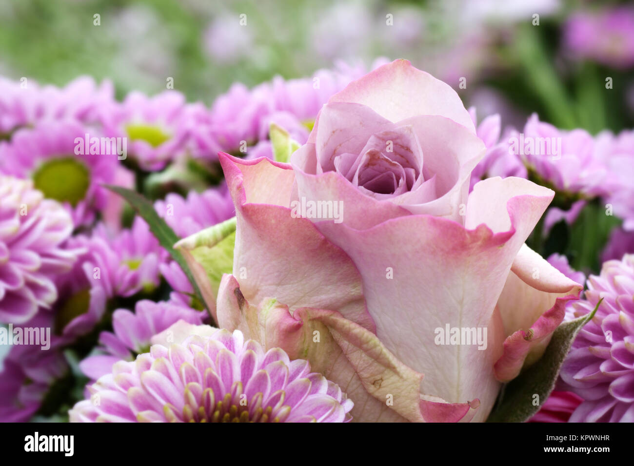 Bouquet of flowers with roses for celebration and congratulations Stock ...