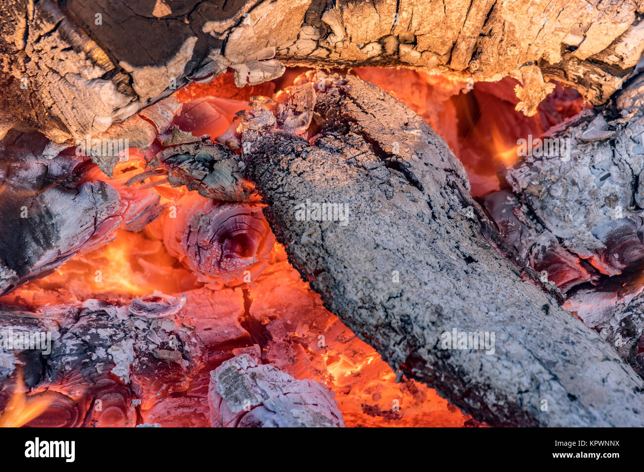 closeup of burning embers in the campfire Stock Photo - Alamy