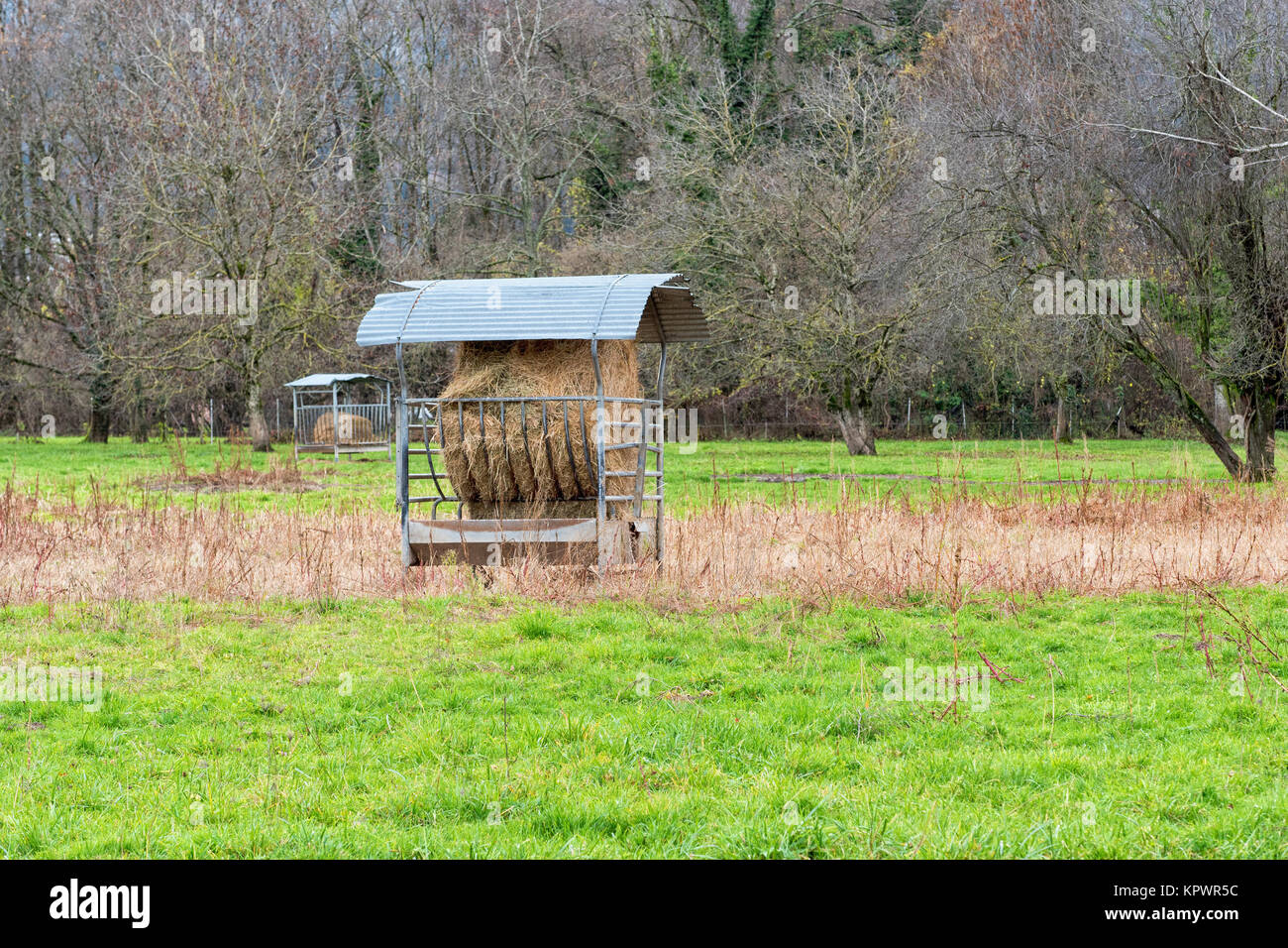 shed with fodder for cows Stock Photo - Alamy