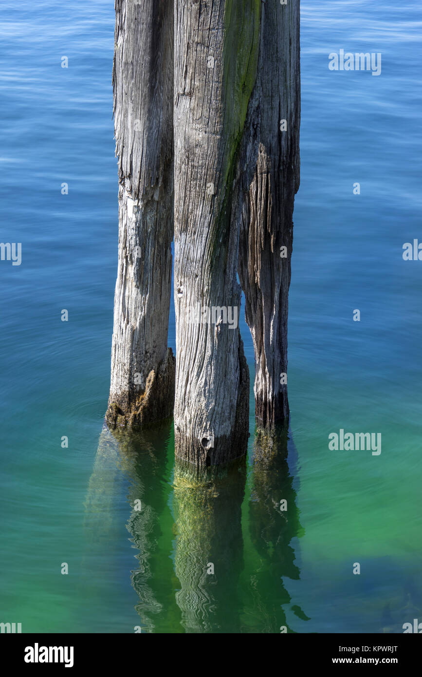 Rotten wooden pole hi-res stock photography and images - Alamy