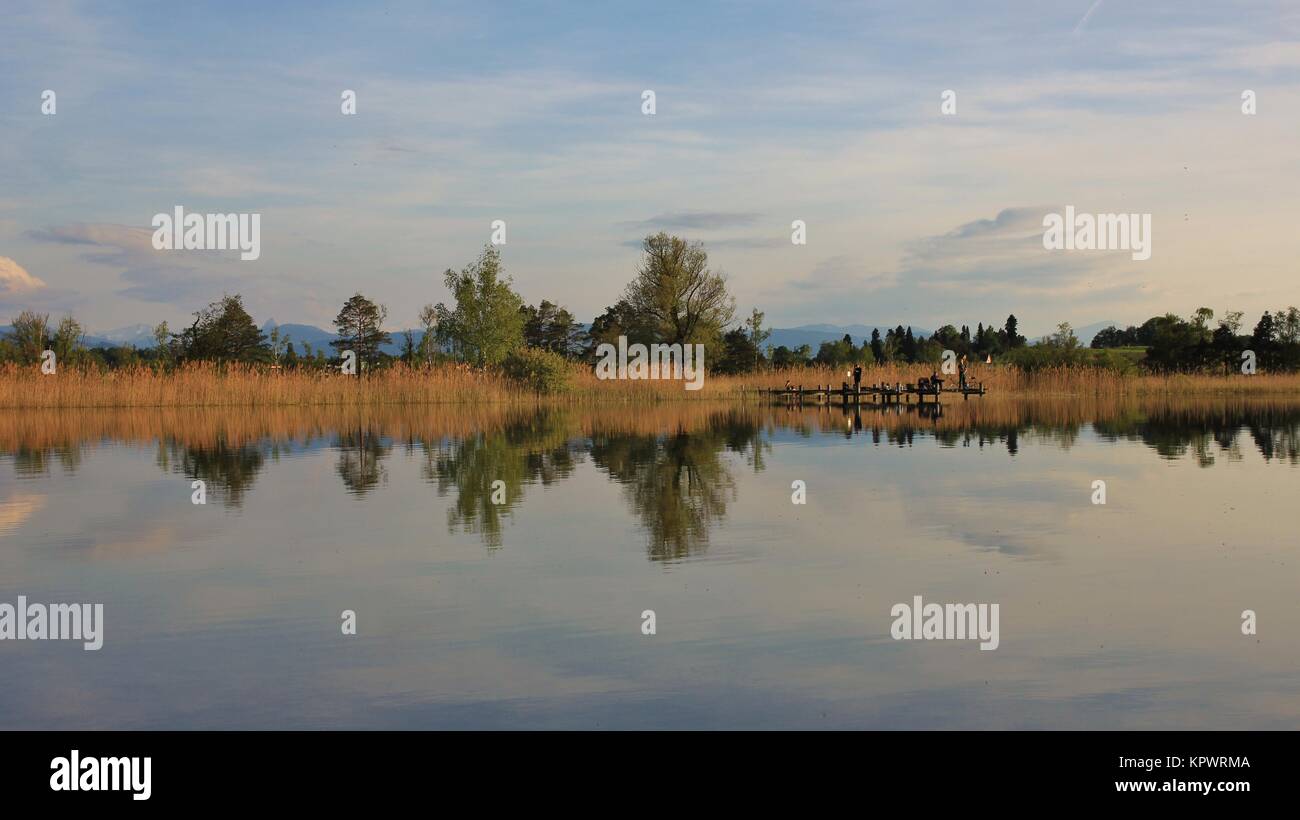 Idyllic scene at Lake Pfaffikon Stock Photo - Alamy