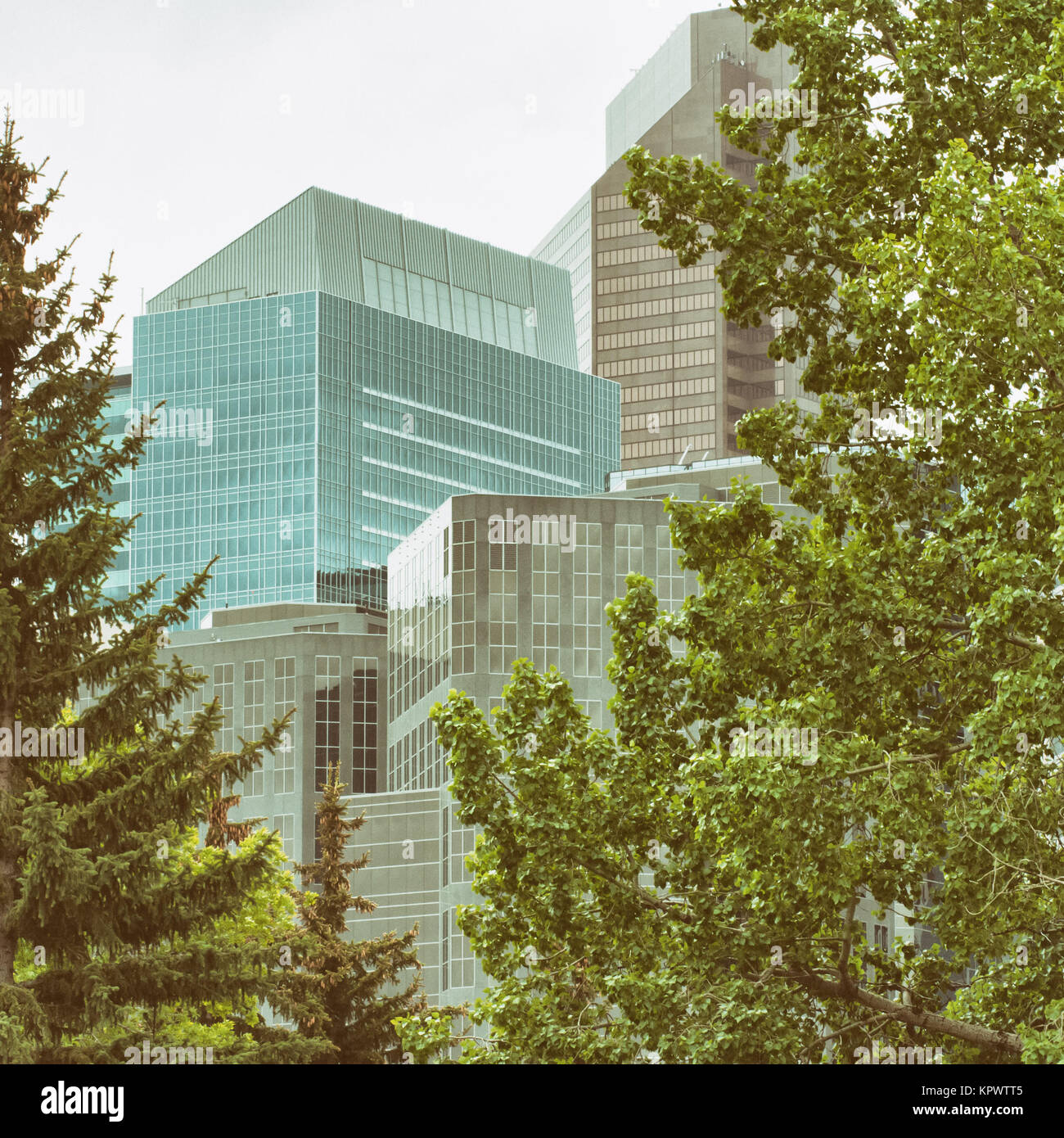 Tree canada organization hi-res stock photography and images - Alamy