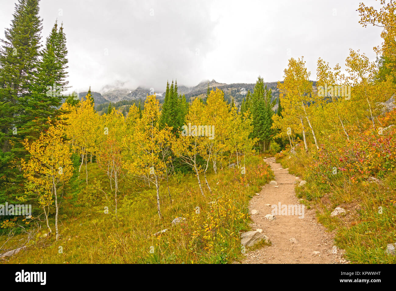 Fall Colors on a Mountain Trail Stock Photo - Alamy