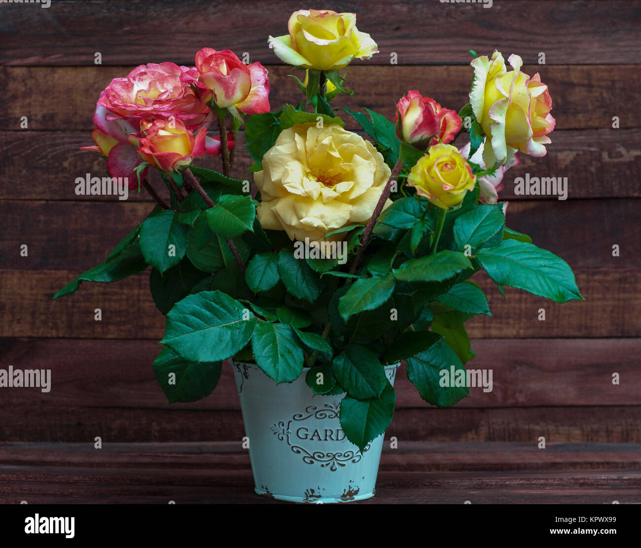 bouquet of multicolored roses Stock Photo - Alamy