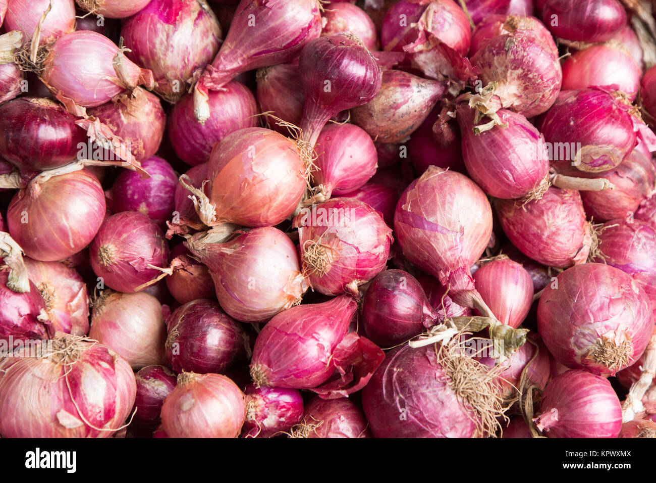 Food root onion hi-res stock photography and images - Alamy