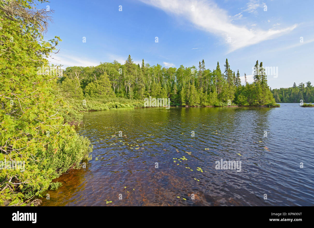 Quiet Cove in a North Woods Lake Stock Photo - Alamy