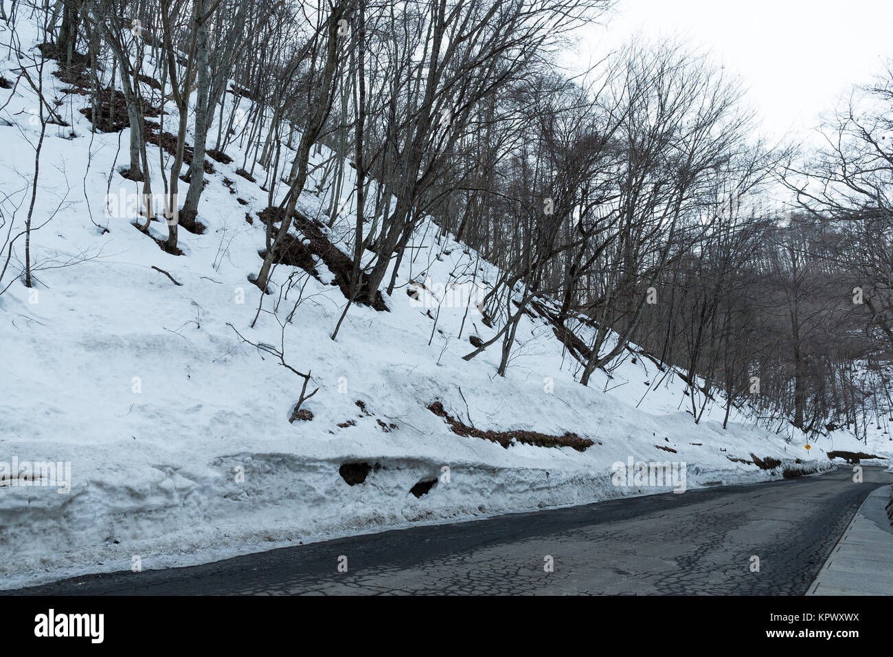 Road and trees covered with snow Stock Photo - Alamy
