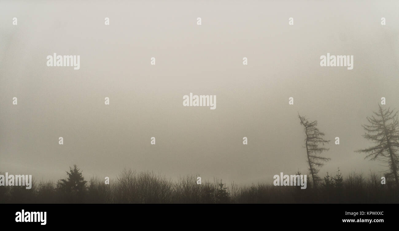 meager landscape with fog Stock Photo - Alamy