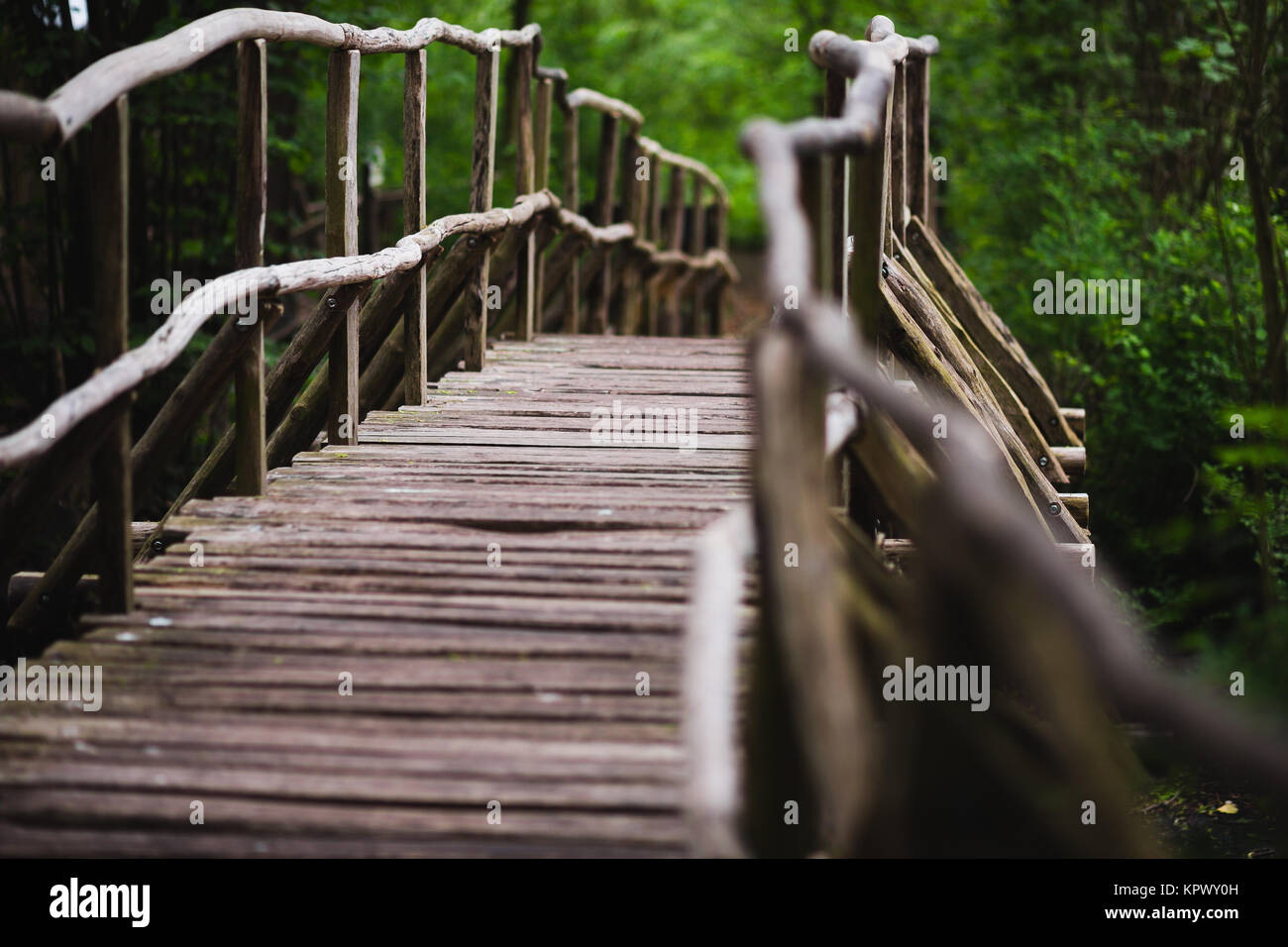 wooden bridge in forest Stock Photo - Alamy