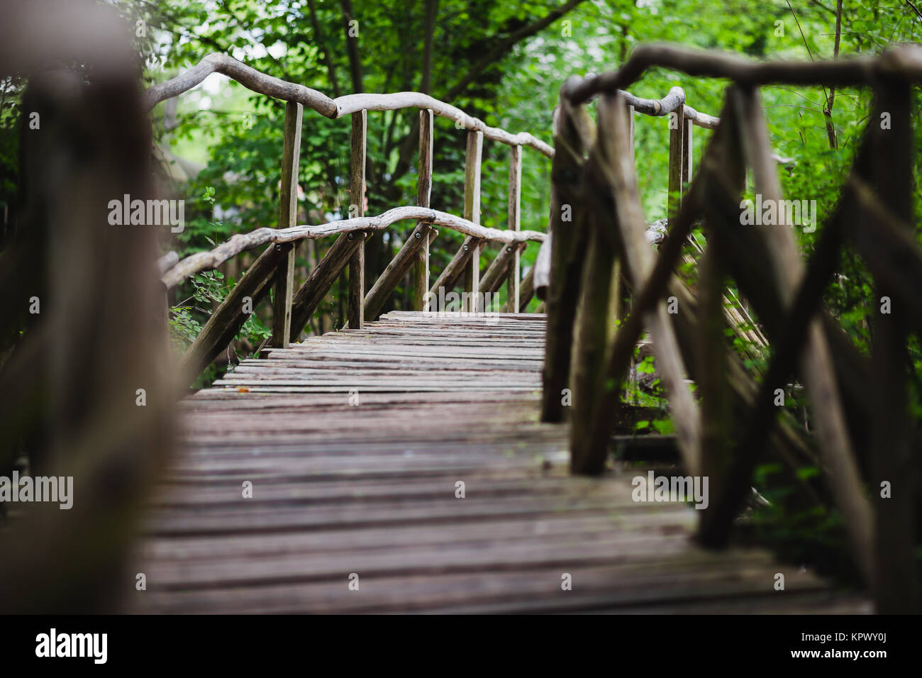 wooden bridge in forest Stock Photo - Alamy