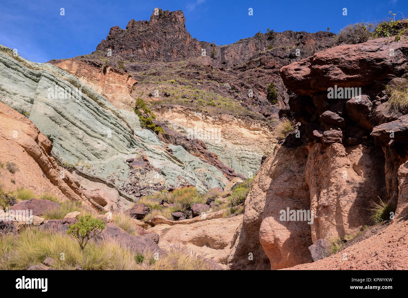 Volcanic Rock Basaltic Formation in Gran Canaria Canary Islands Stock ...