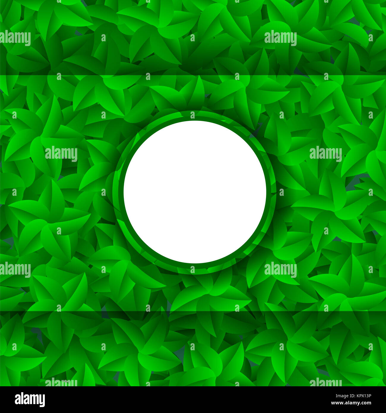Green Leaves Pattern. Evergreen Hedgegrow Stock Photo - Alamy