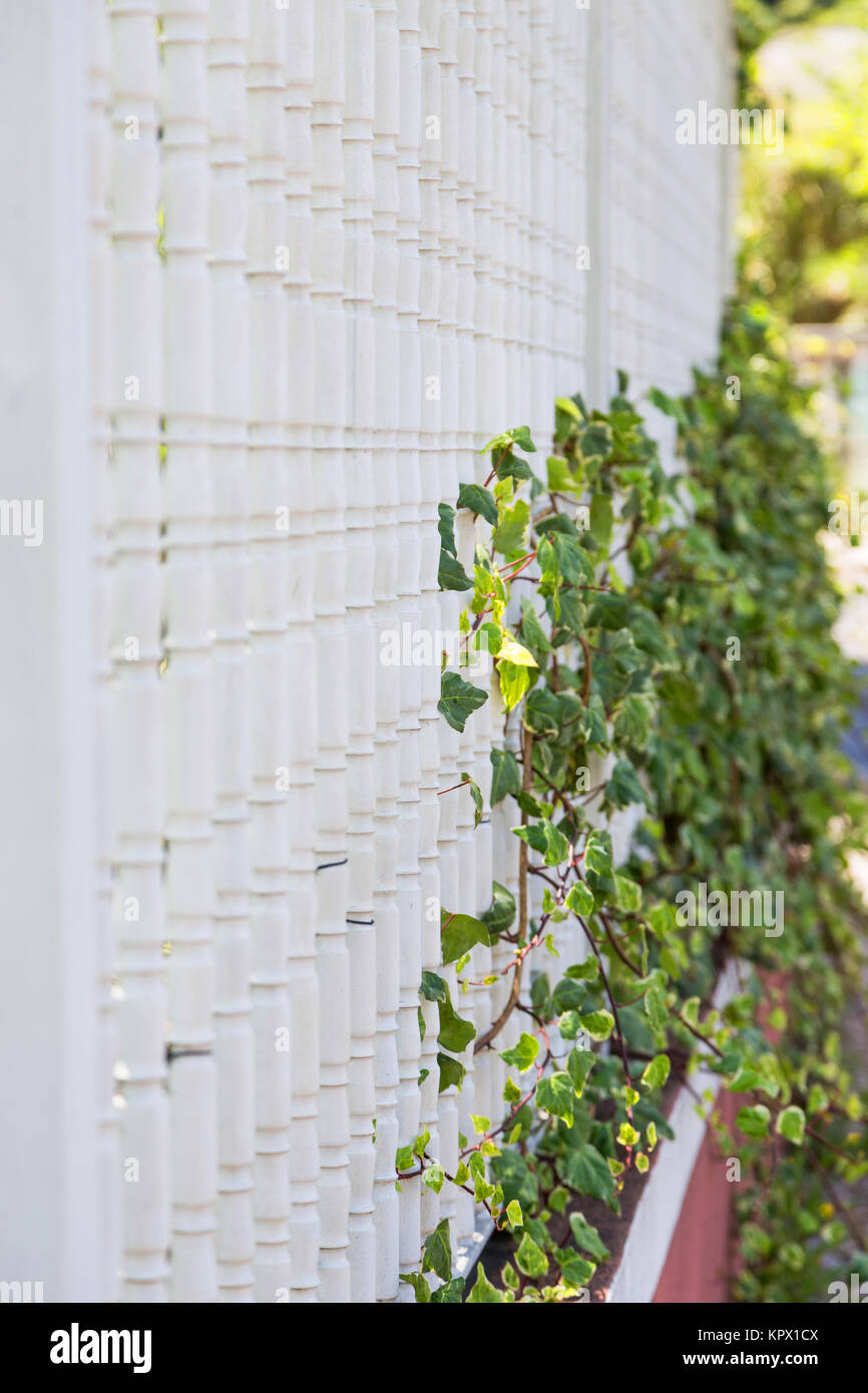 Garden wire protection plants hi-res stock photography and images - Alamy