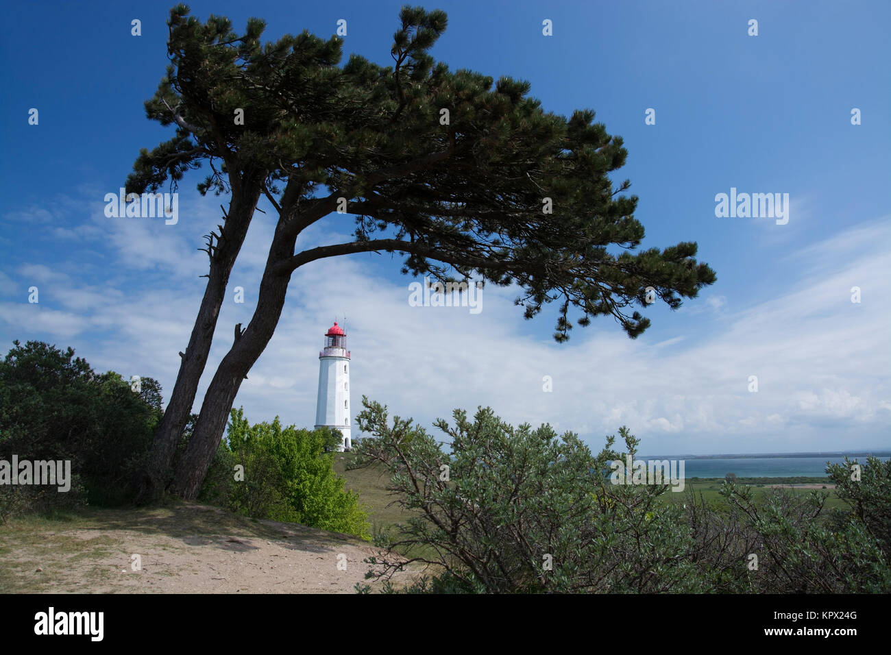 lighthouse dornbusch on hiddensee Stock Photo - Alamy