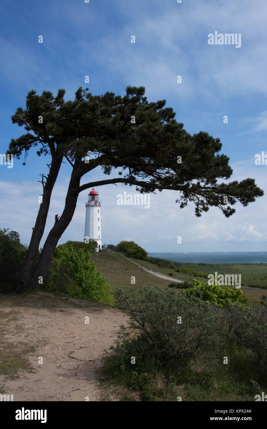 lighthouse dornbusch on hiddensee Stock Photo - Alamy